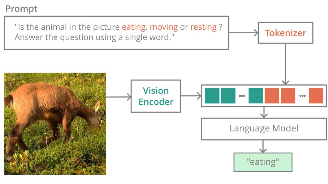Zero-shot animal behaviour classification with vision-language ...